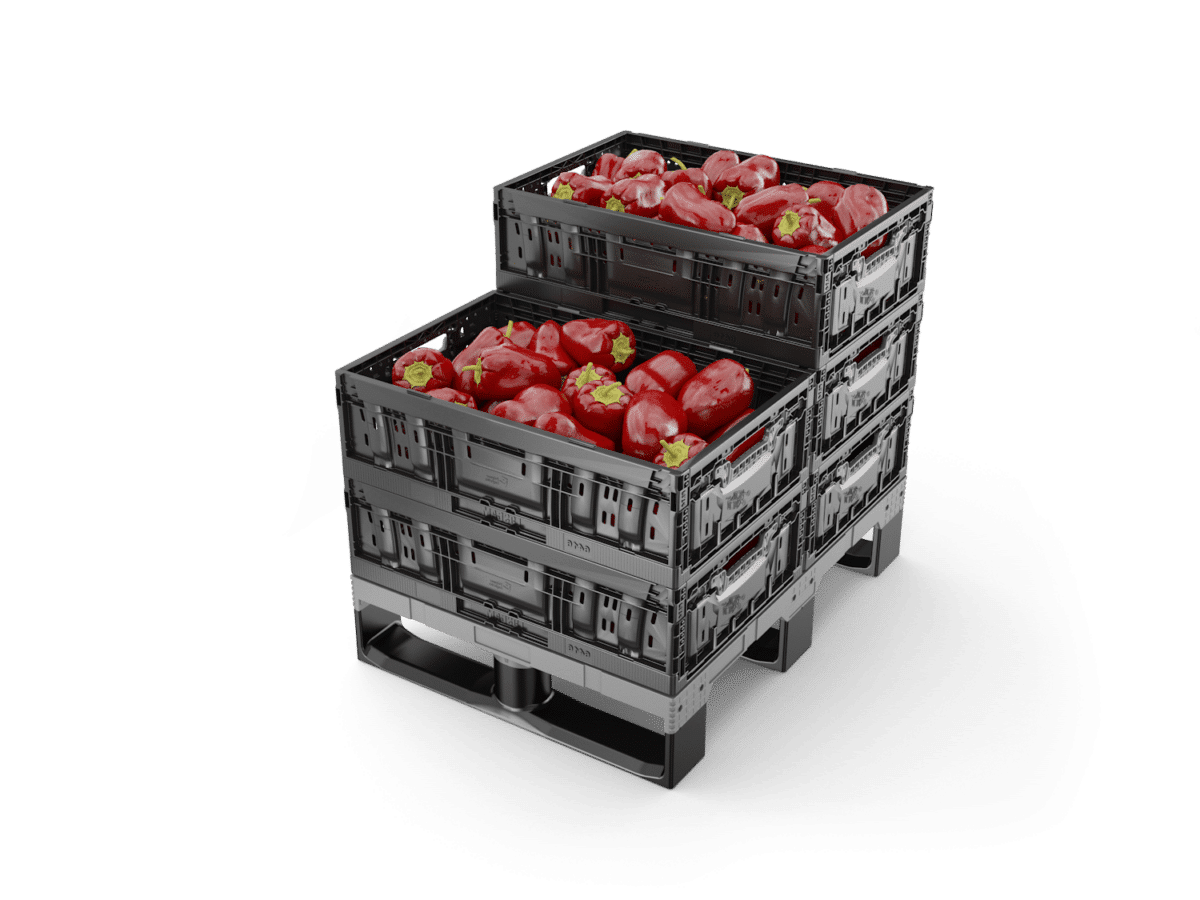 Reusable Plastic Produce Pallets for Vegetable Growers