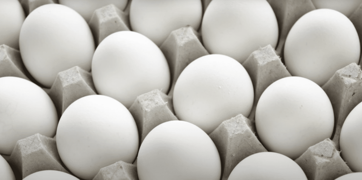 Sustainable Egg Packaging That Lasts | Tosca