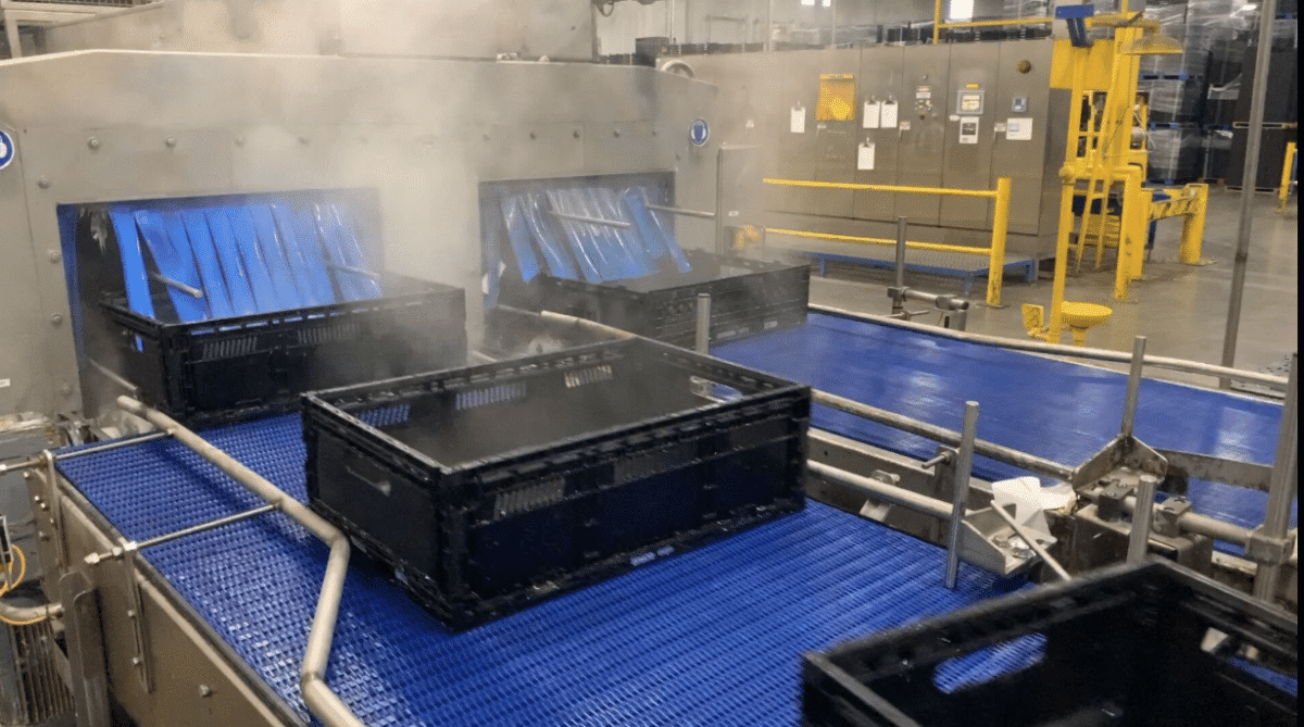 How the RPC wash process ensures food safety - Tosca